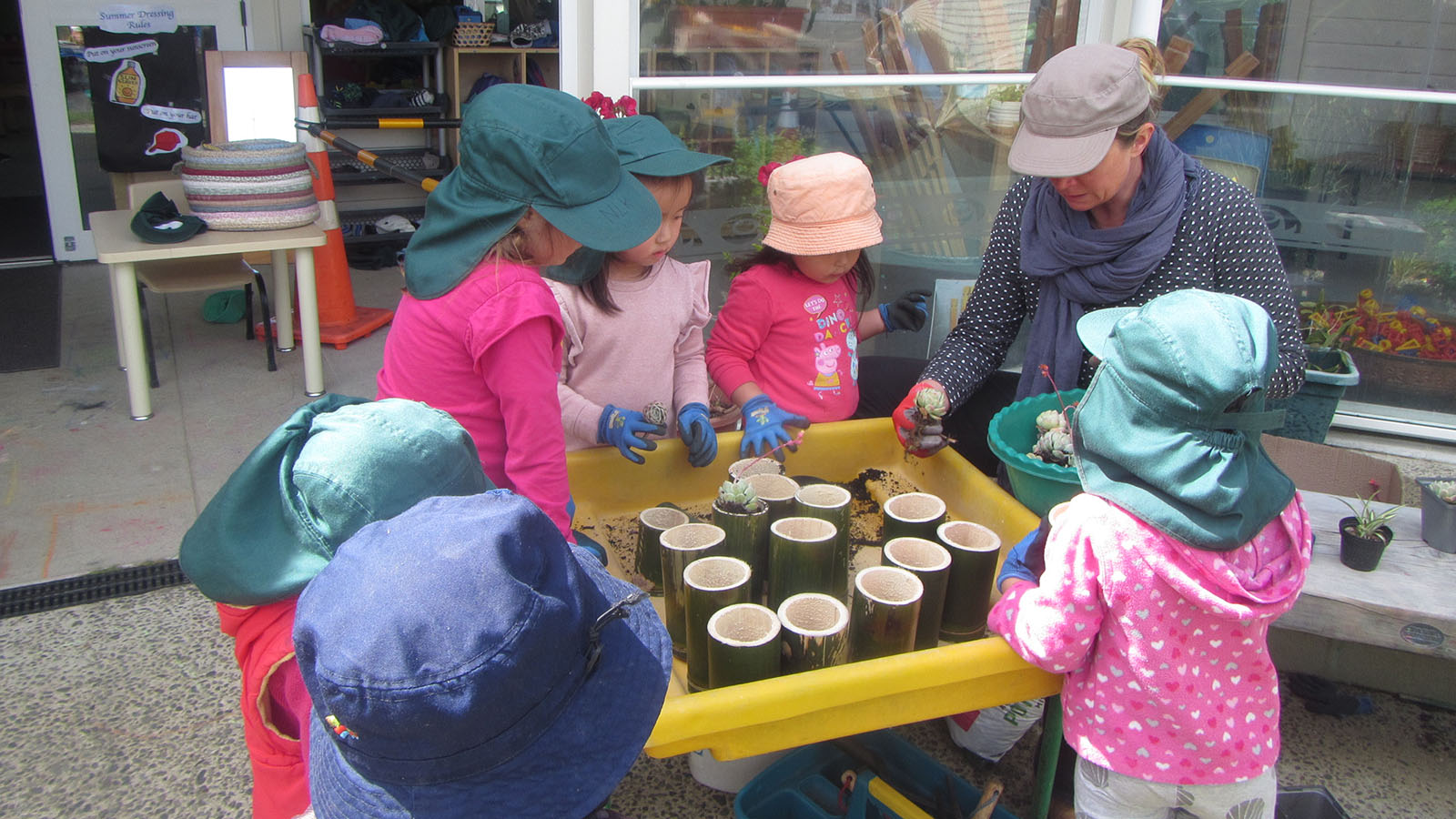 New Lynn Kindergarten - Kindergarten - New Lynn