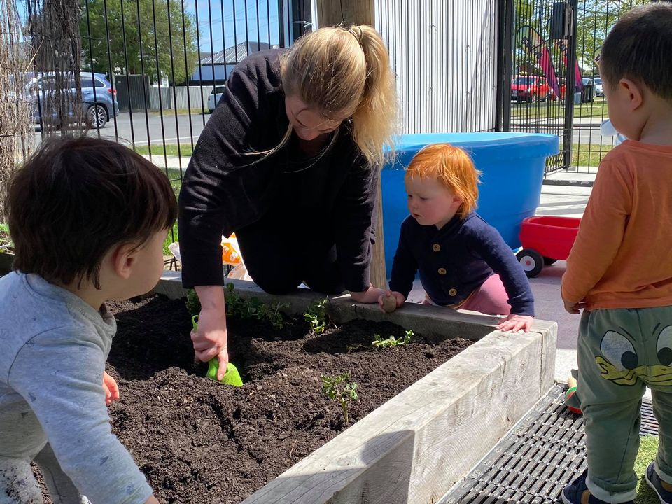 Learning Bee Montessori - Childcare - Papanui