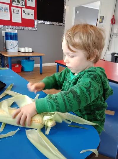 Bizzy Bodz Early Learning Centre Gisborne - Childcare - Te Hapara