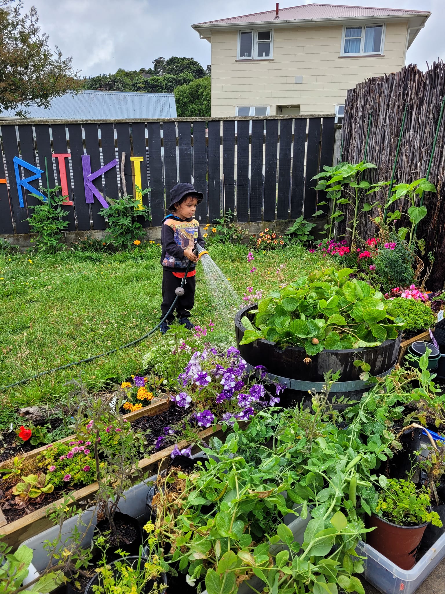 Moira Gallagher Kindergarten - Kindergarten - Porirua East