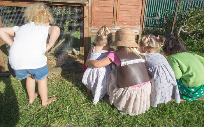 Patea Kindergarten - Kindergarten - Patea