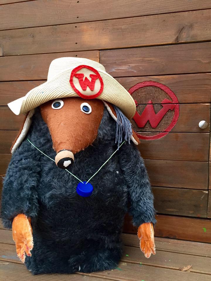 Springlands Kindergarten - Kindergarten - Springlands