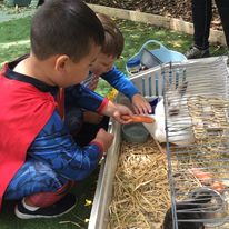 New Beginnings Pre-School - Childcare - Linwood