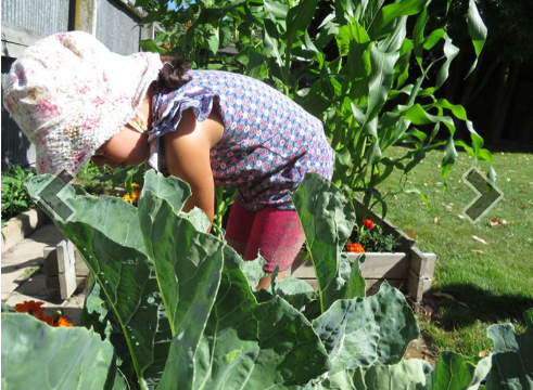 The Rabbit Patch Preschool - Childcare - Burnside