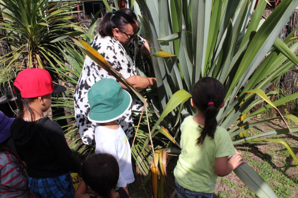 Te Kōhanga Reo o Muturangi - Kōhanga Reo - Moera